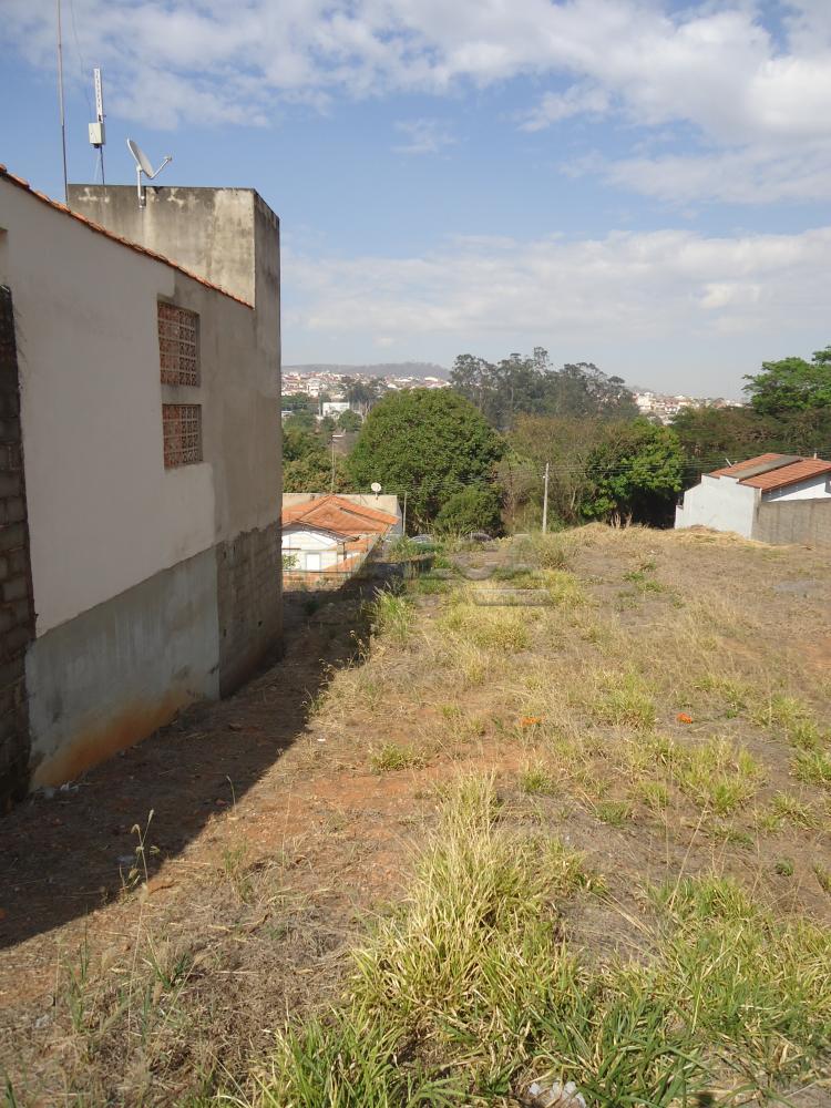 Terrenos Padrão Jardim Santa Marina São José Do Rio Pardo R 95